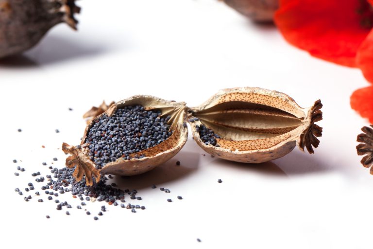 Easy Poppy Seed Dressing - Blessed Beyond Crazy