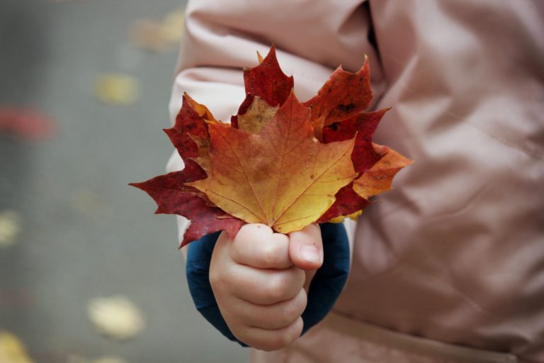 21 Fun and Affordable Autumn Activities to Enjoy This Year - Blessed ...