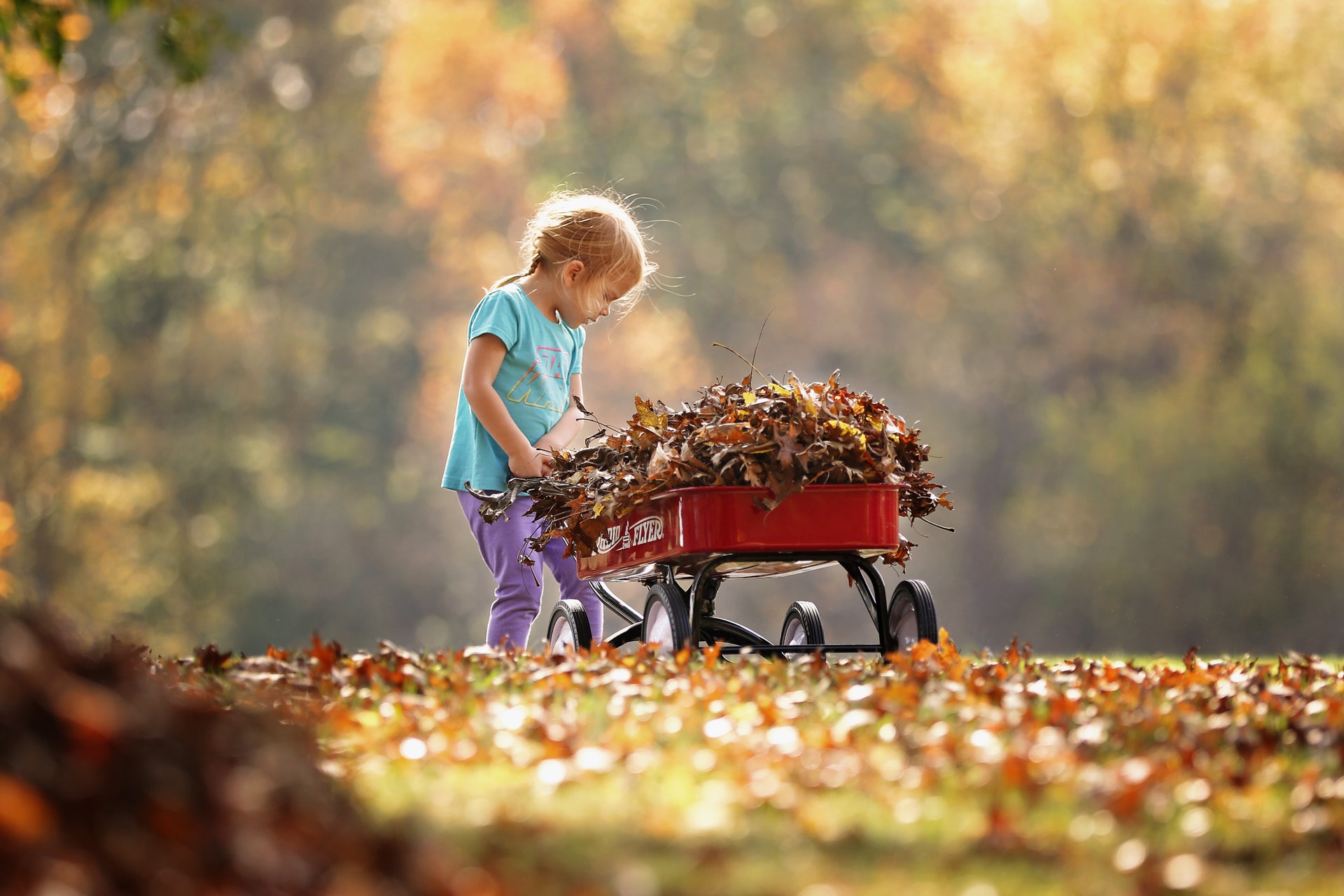 21 Fun and Affordable Autumn Activities to Enjoy This Year - Blessed ...