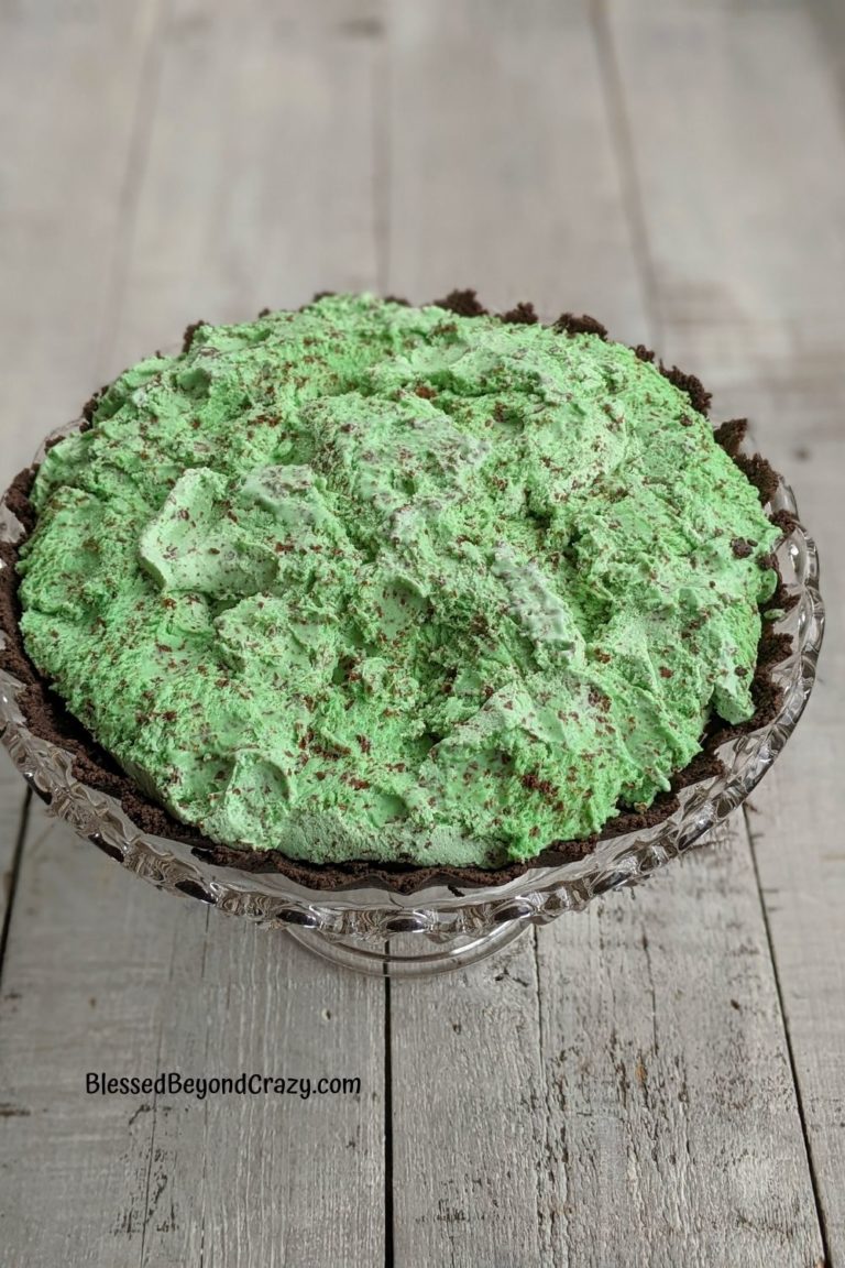 Make an Easy and Refreshing No-Bake Frozen Chocolate Mint Tart - Blessed Beyond Crazy