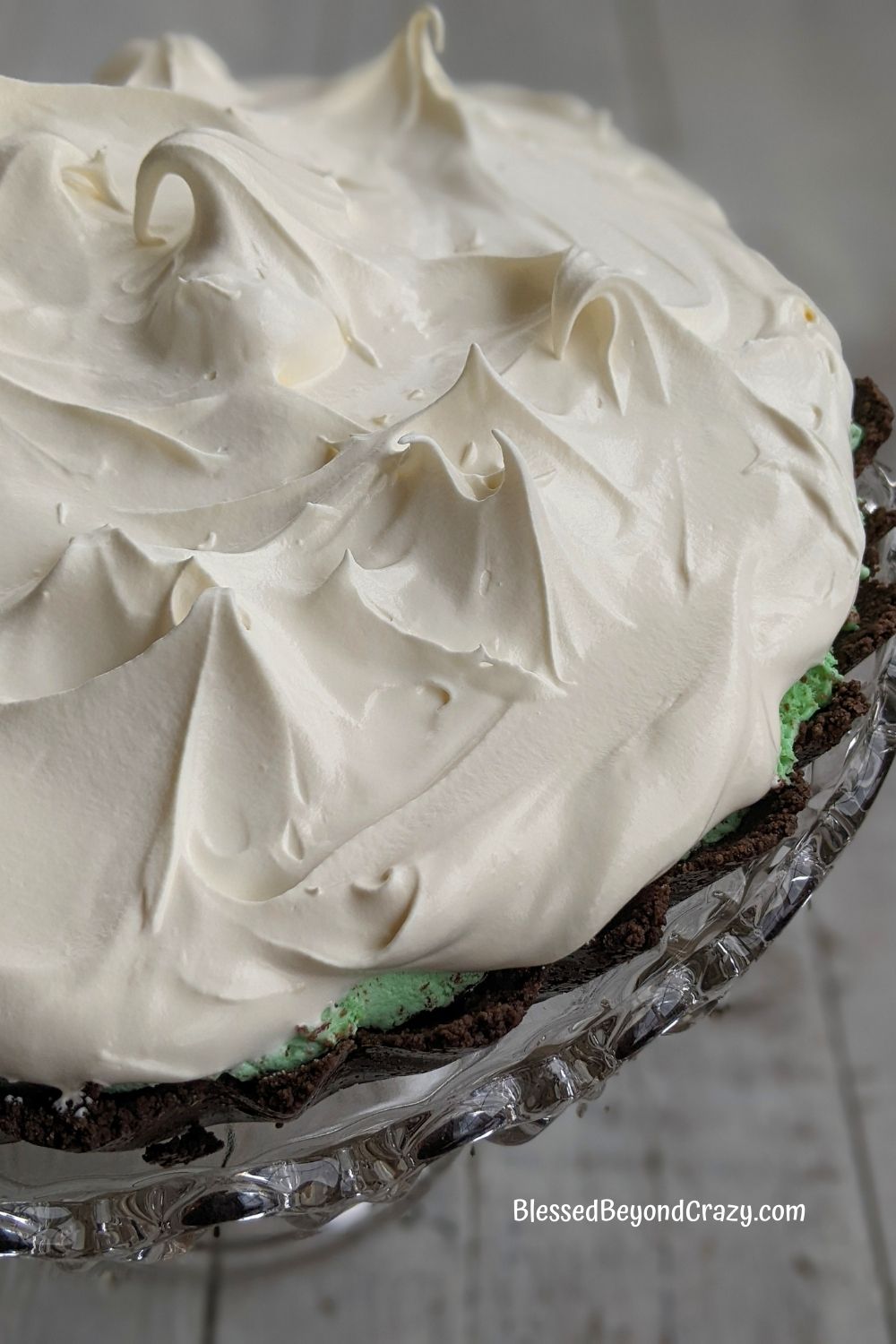 Make an Easy and Refreshing No-Bake Frozen Chocolate Mint Tart ...