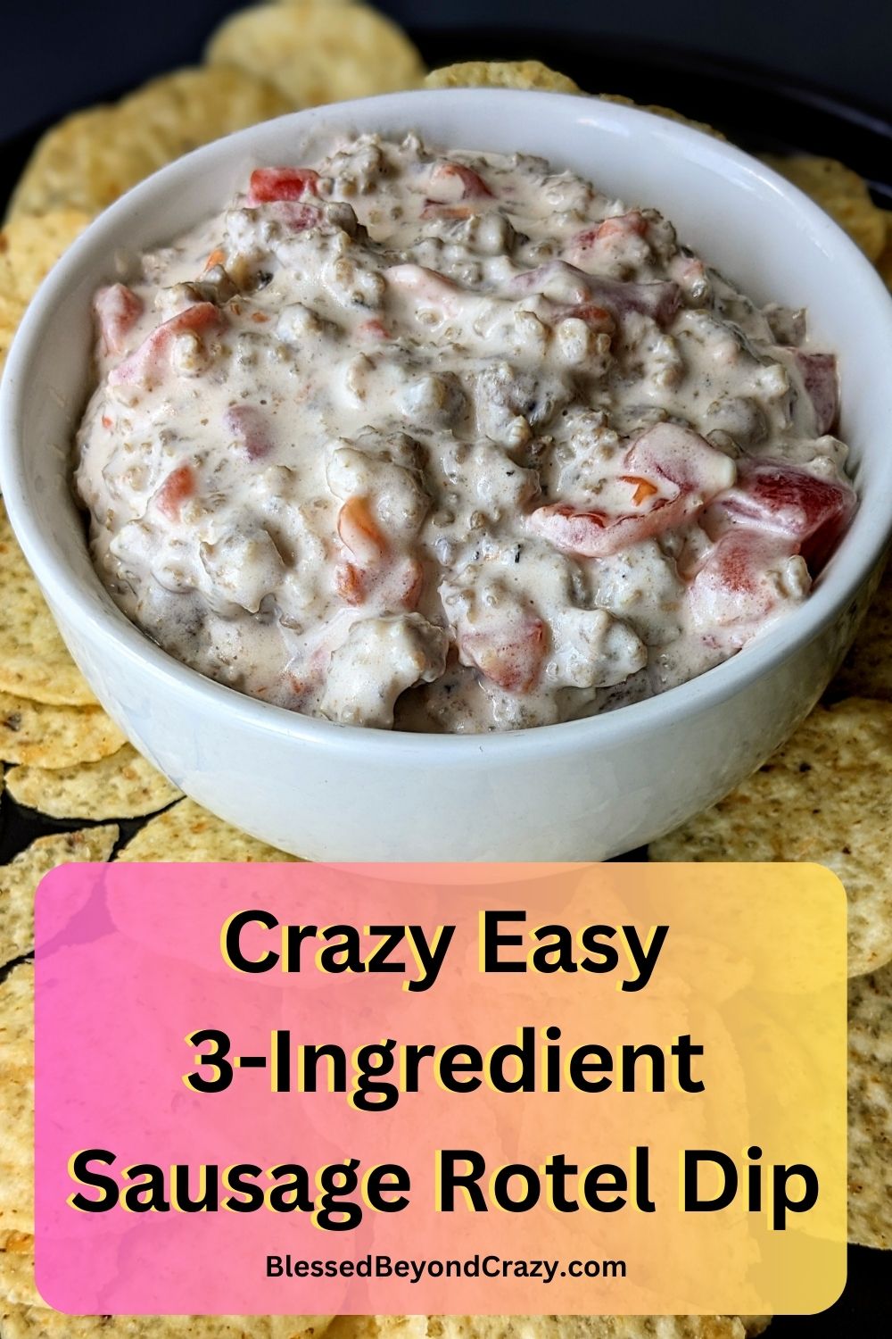 Crazy Easy 3-Ingredient Sausage Rotel Dip - Blessed Beyond Crazy